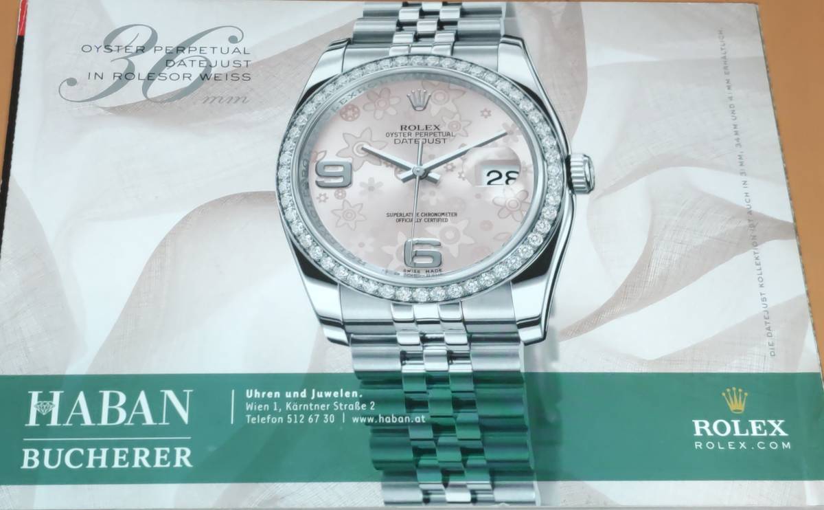 Yahoo!オークション - WIEN ABONNEMENT KONZERTE 2010-11 パンフレット