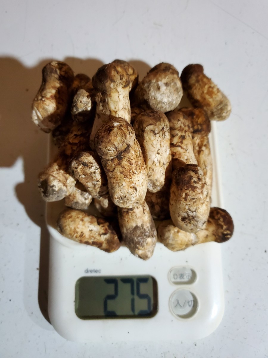 Yahoo!オークション - 岩手県産 松茸275g