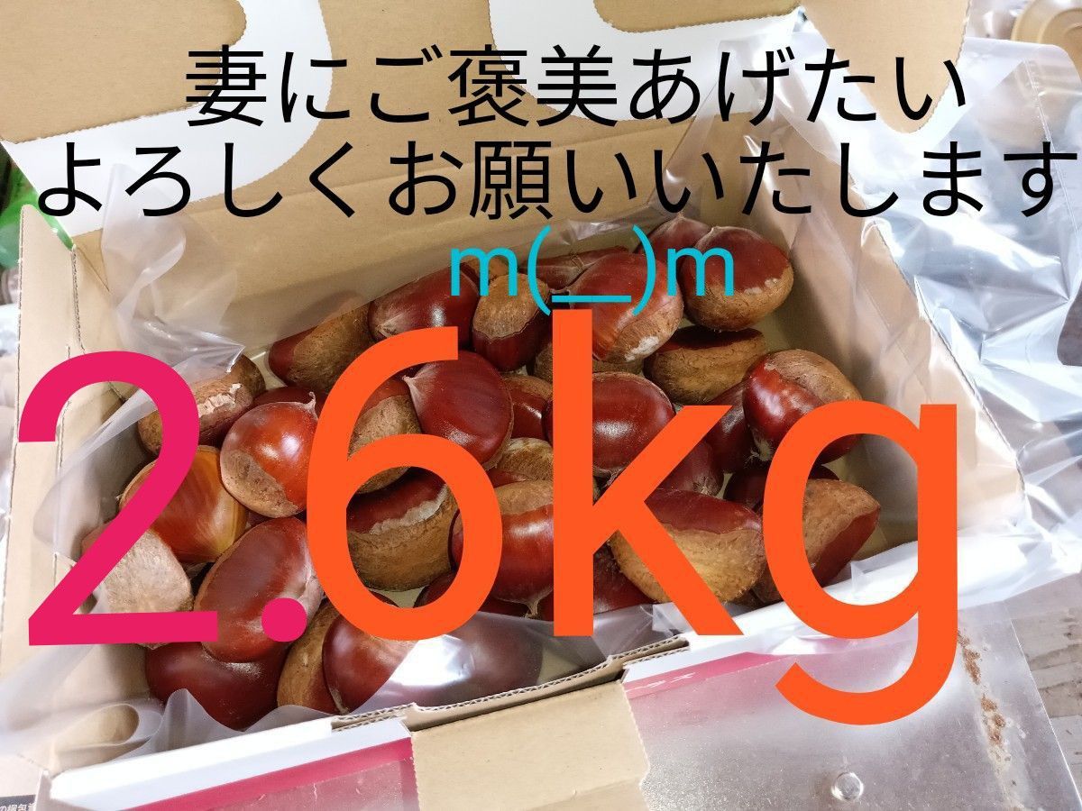2 6kg スーパーファイナルセール 生栗｜Yahoo!フリマ（旧PayPayフリマ）