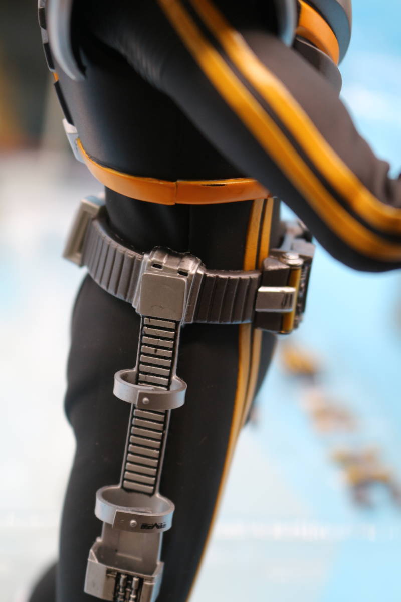 代購代標第一品牌－樂淘letao－30-8 [開封品][状態 ]メディコム・トイ リアルアクションヒーローズ No.509 RAH DX 仮面ライダーカイザ 仮面ライダー555