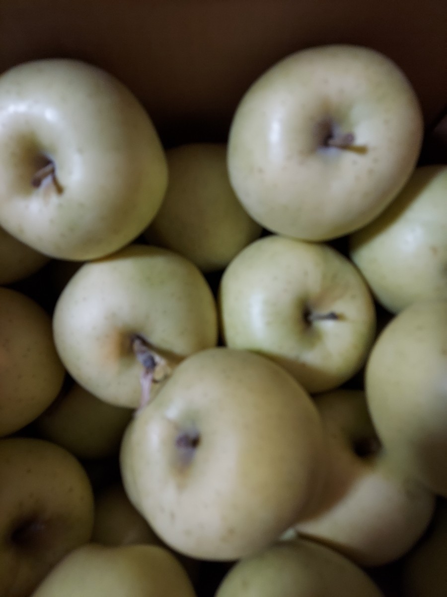 Yahoo!オークション - 青森りんご「トキ」30個(7.5k位)1798円即決