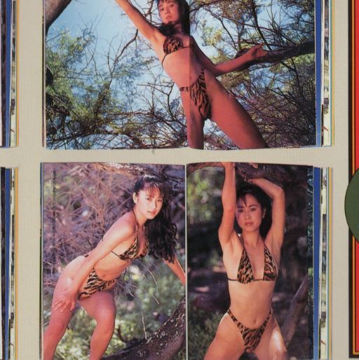 Yahoo!オークション - 310 切り抜き 坂井泉水(ZARD蒲池幸子) 日本名作...