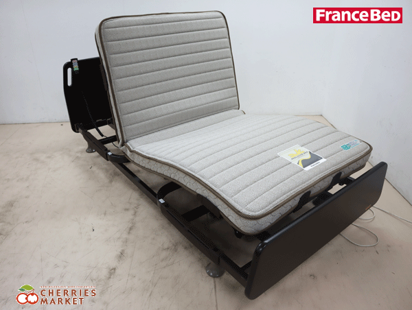 展示品 France Bed フランスベッド レステックス-01FN 3モーター/イーゼルRX 電動リクライニングベッド シングルベッド 23万(マットレス付き)｜売買されたオークション情報 ...
