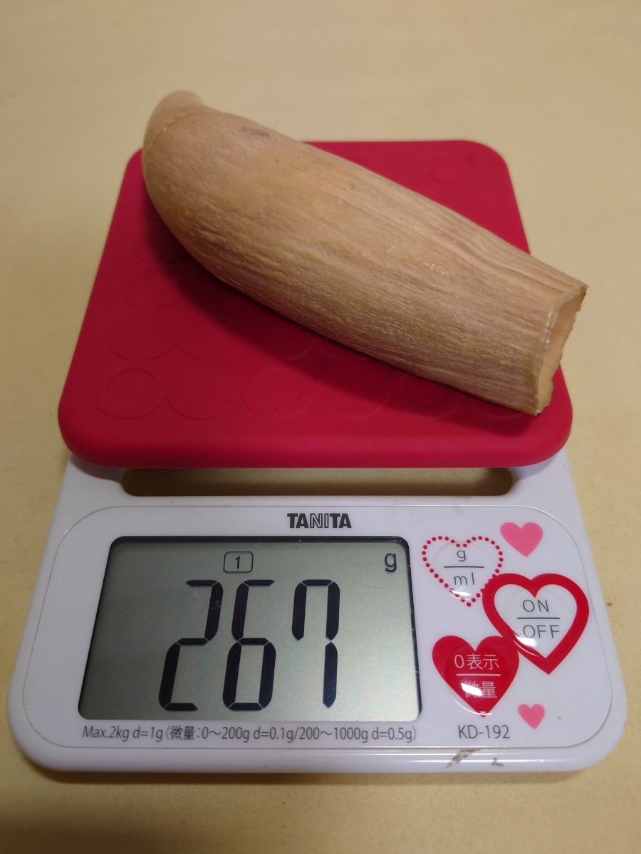 Yahoo!オークション - 抹香鯨 マッコウクジラの歯 鯨歯267g