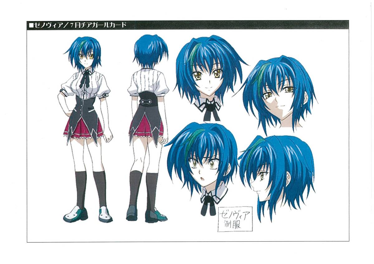 代購代標第一品牌－樂淘letao－ハイスクールDXD New 設定資料