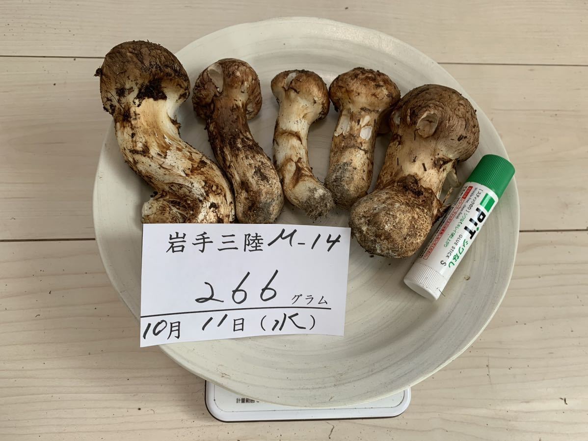 Yahoo!オークション - 岩手県 松茸 266g 10月11日 即決本日発送 m-14