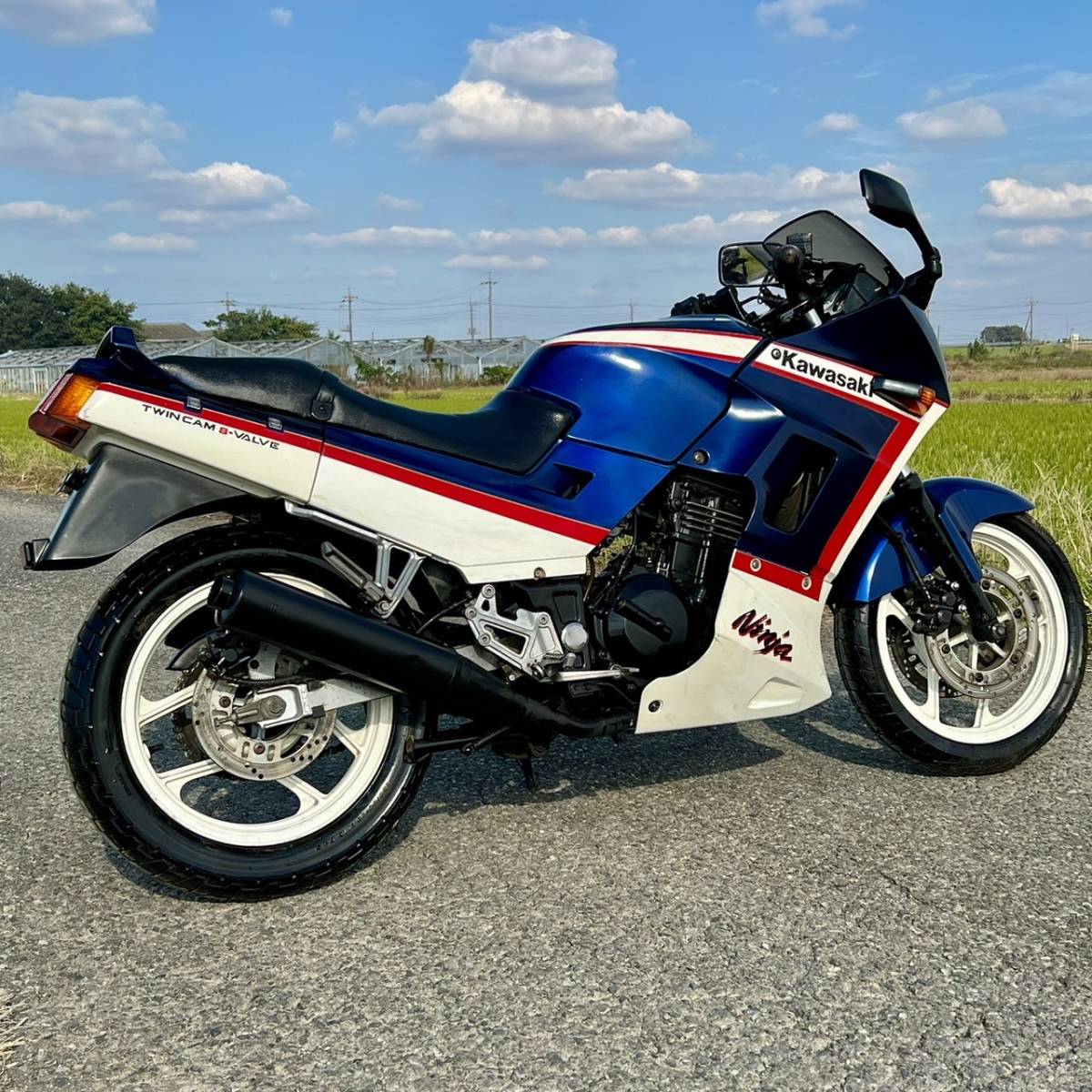 カワサキ GPX250R-Ⅱ EX250E 後期型 実動 書類付 フルカウル カラー検 VT GX CBR CB CBX ZXR FW GSX FX バリオス ジェイド ガンマ(126cc ...