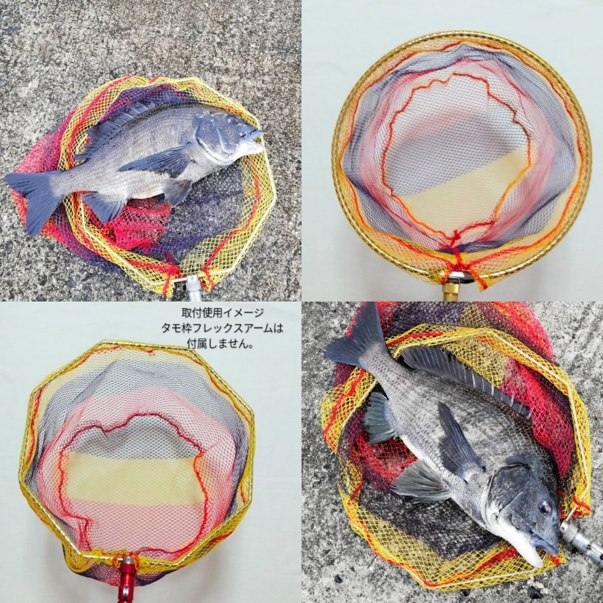 Yahoo!オークション - ③40cm TTRオリジナル レインボータモ網/TEAM釣...