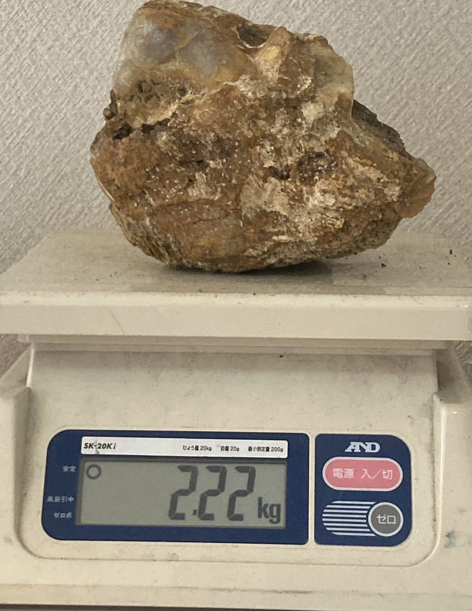 代購代標第一品牌－樂淘letao－インドネシア ジャワ島産天然フォシルコーラル原石2.22kg[珊瑚の化石]激レア石^