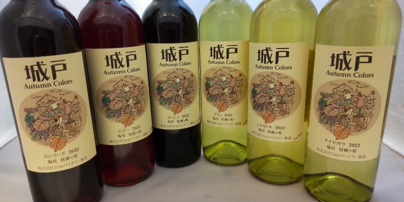 Yahoo!オークション - 2022 オータムカラーズ 全種類6種まとめて 城戸...