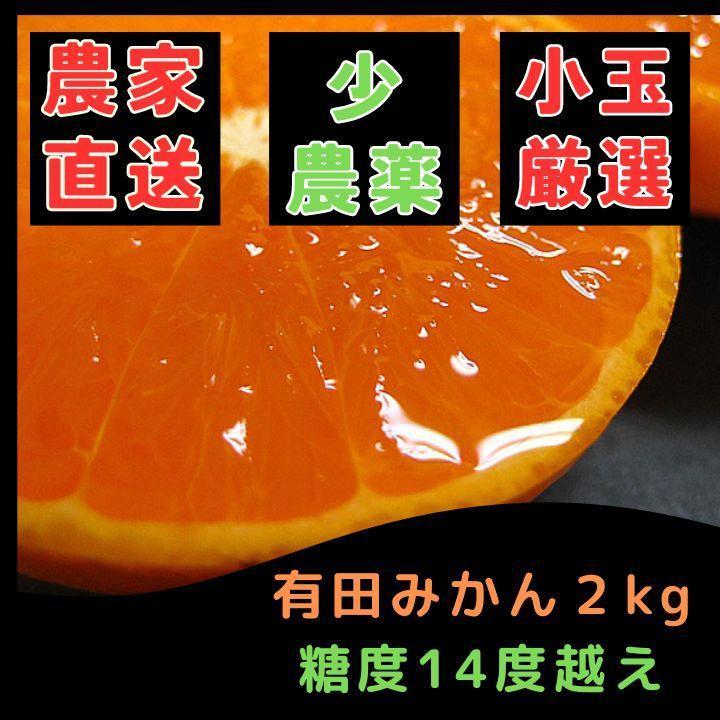 Yahoo!オークション - 濃い 甘い 有田みかん B級 2kg 少農薬 地元から...