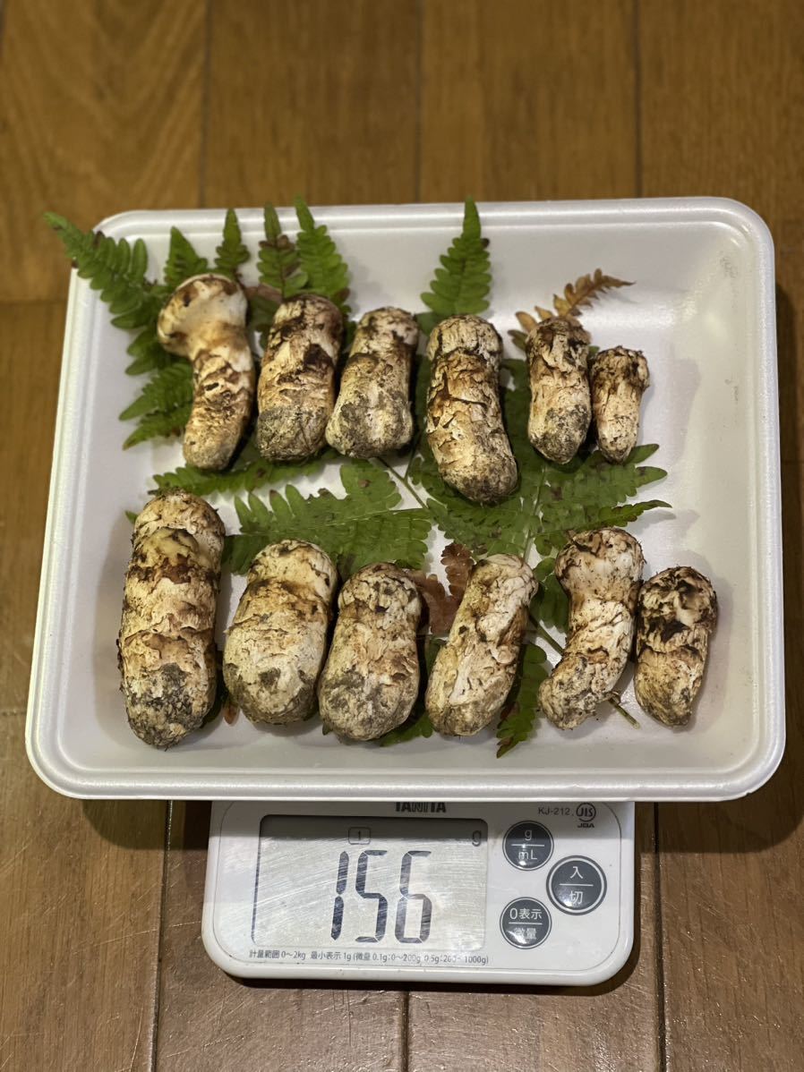 Yahoo!オークション - 岩手県産 松茸 156g 天然