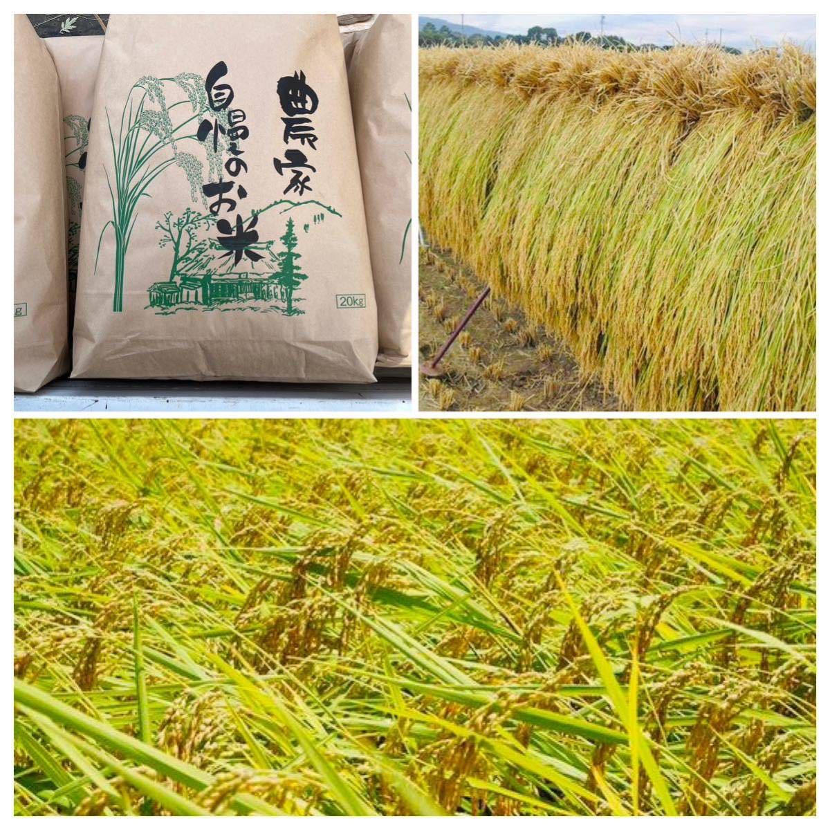 Yahoo!オークション - R4古米長野県産コシヒカリ20kg相当