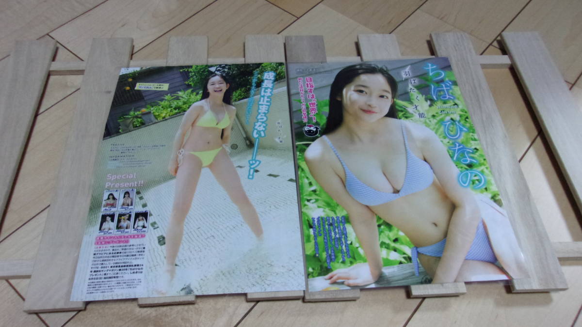 ちばひなの 超絶美少女 彡雑誌切B5ラミネート4P T162 美乳 美脚 美尻 Y07(タレント)｜売買されたオークション情報、yahooの商品情報をアーカイブ公開 - オークファン ...