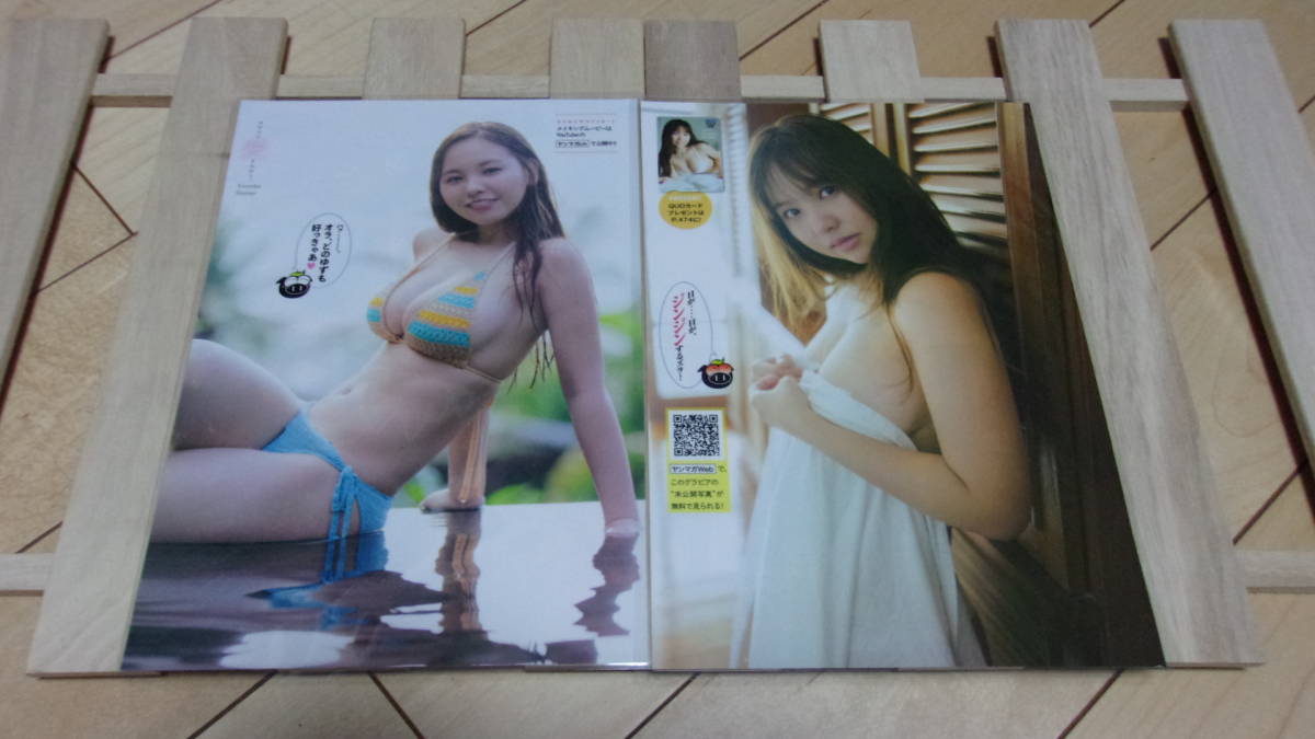 Yahoo!オークション - 本郷柚巴 巨乳アイドル・NMB48 雑誌切抜B5ラミネ...