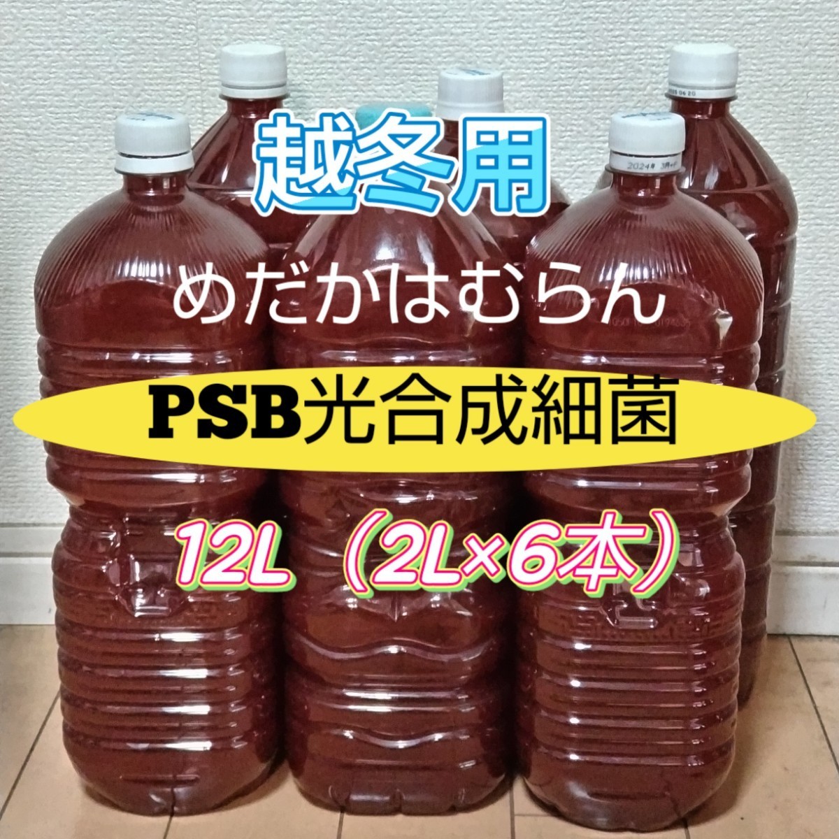 Yahoo!オークション - 越冬用【12L】PSB光合成細菌②【めだか_はむら...