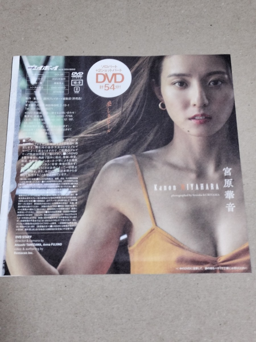 Yahoo!オークション - D167 坂巻有紗＆宮原華音 DVD プレイボーイ