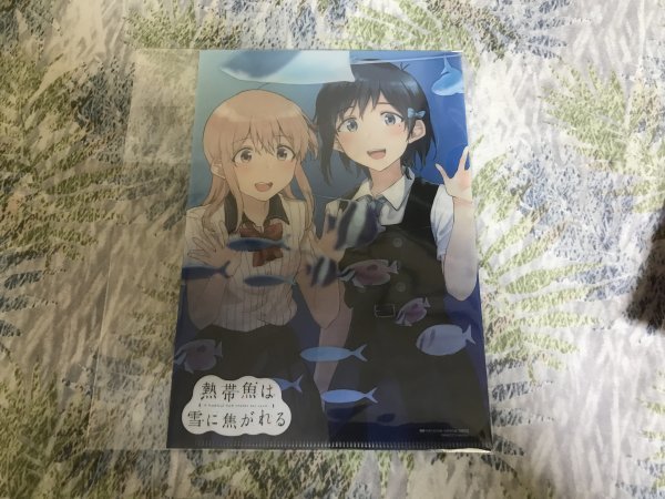 Yahoo!オークション - d248クリアファイル 熱帯魚は雪に焦がれる 萩埜...