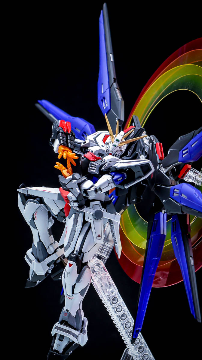 日本代購代標第一品牌【樂淘letao】－RG 1/144 ストライクフリーダムガンダム Verゴッド 全塗装 完成品