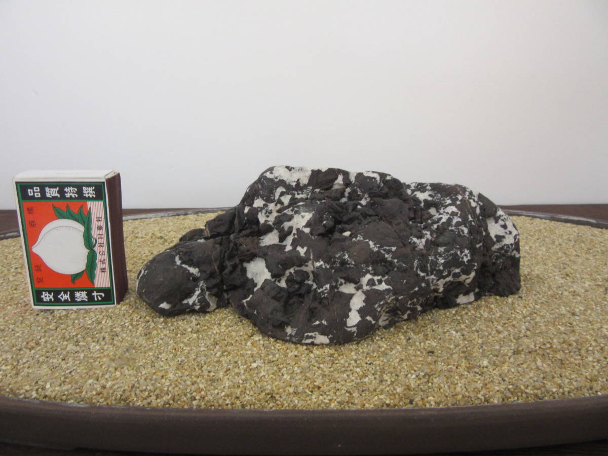 Yahoo!オークション - T102 姫川石 水石 鑑賞石 山形 17cm×5.5c...