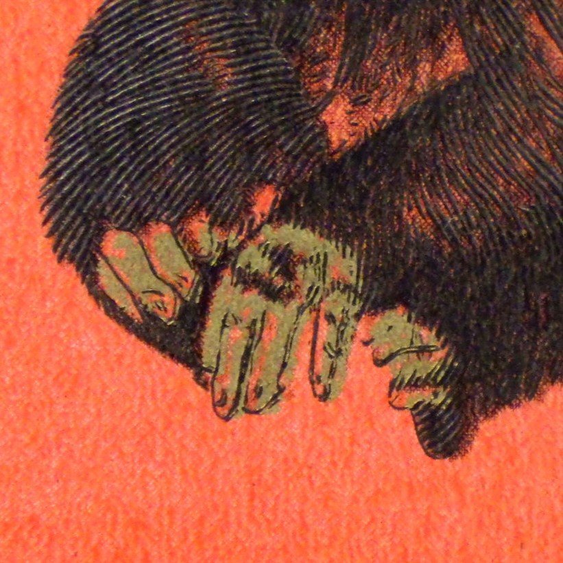 1円～ 未使用 中国切手 T46「赤猿」 y351-2312688【Y商品】｜代購幫