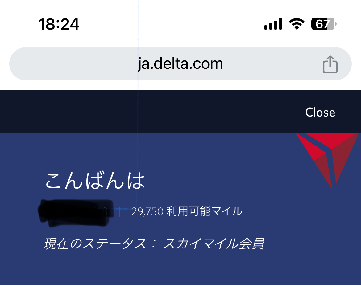 Yahoo!オークション - スカイマイル 10000マイル