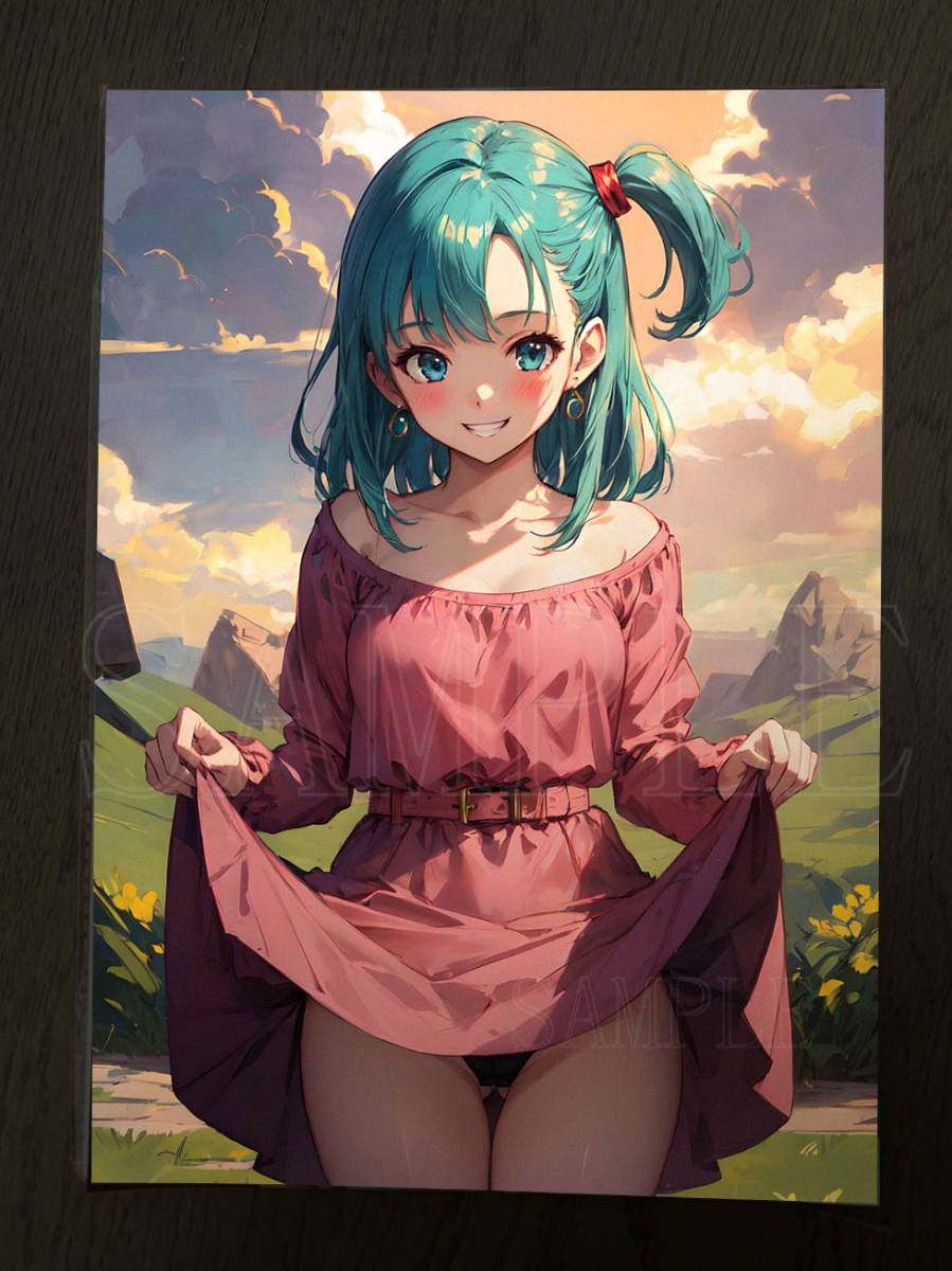 Yahoo!オークション - ドラゴンボール ブルマ アニメポスター A4サイズ...