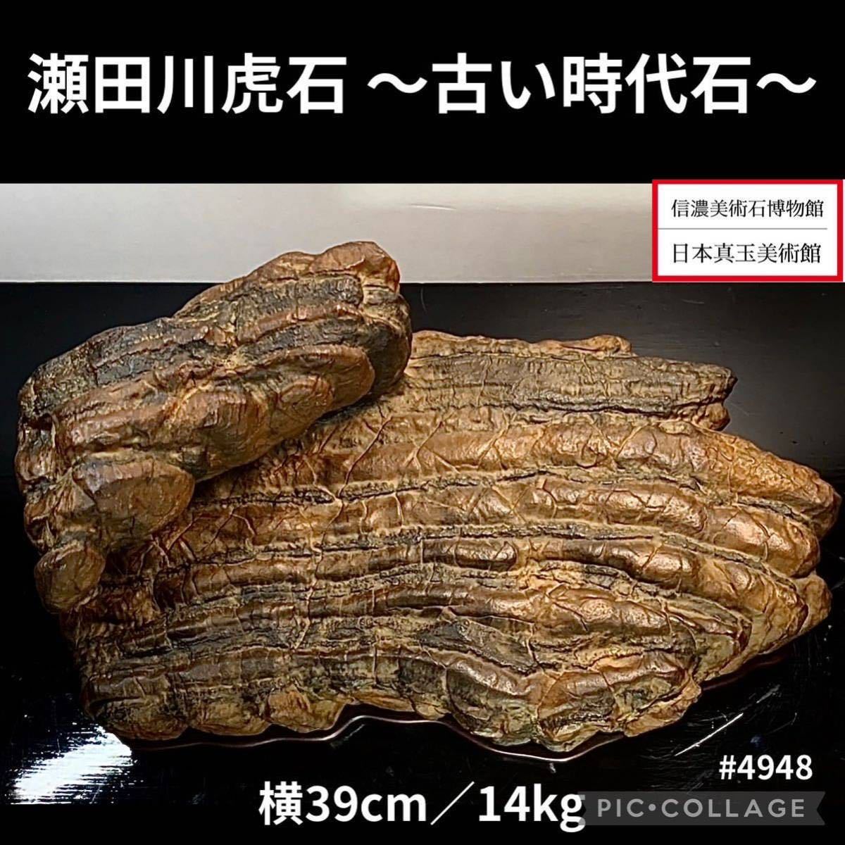 Yahoo!オークション - 【信濃美術石博物館】水石 盆栽 瀬田川虎石 〜古...