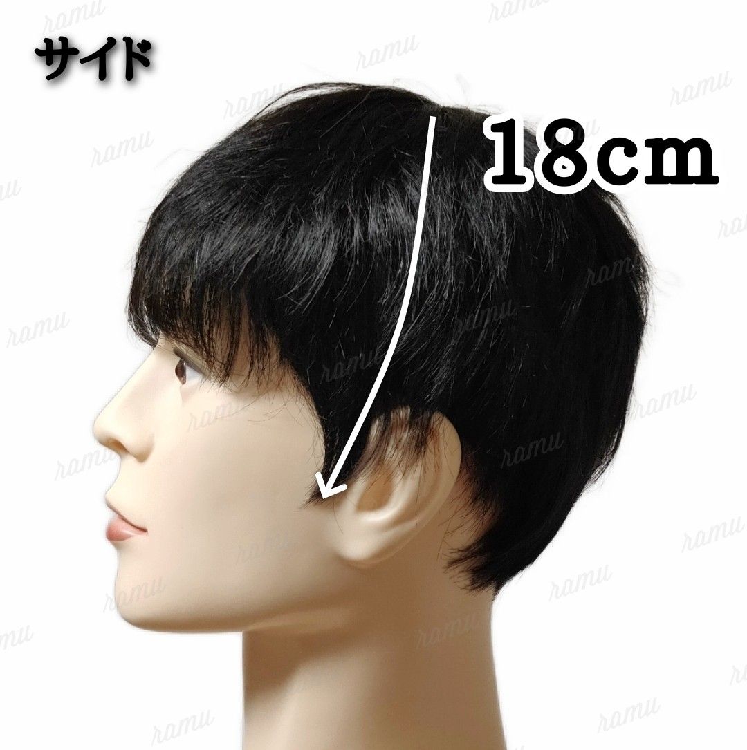新品】高級人毛100% メンズ フルウィッグ カジュアルショート 新品】高級人毛100% メンズ フルウィッグ カジュアルショート