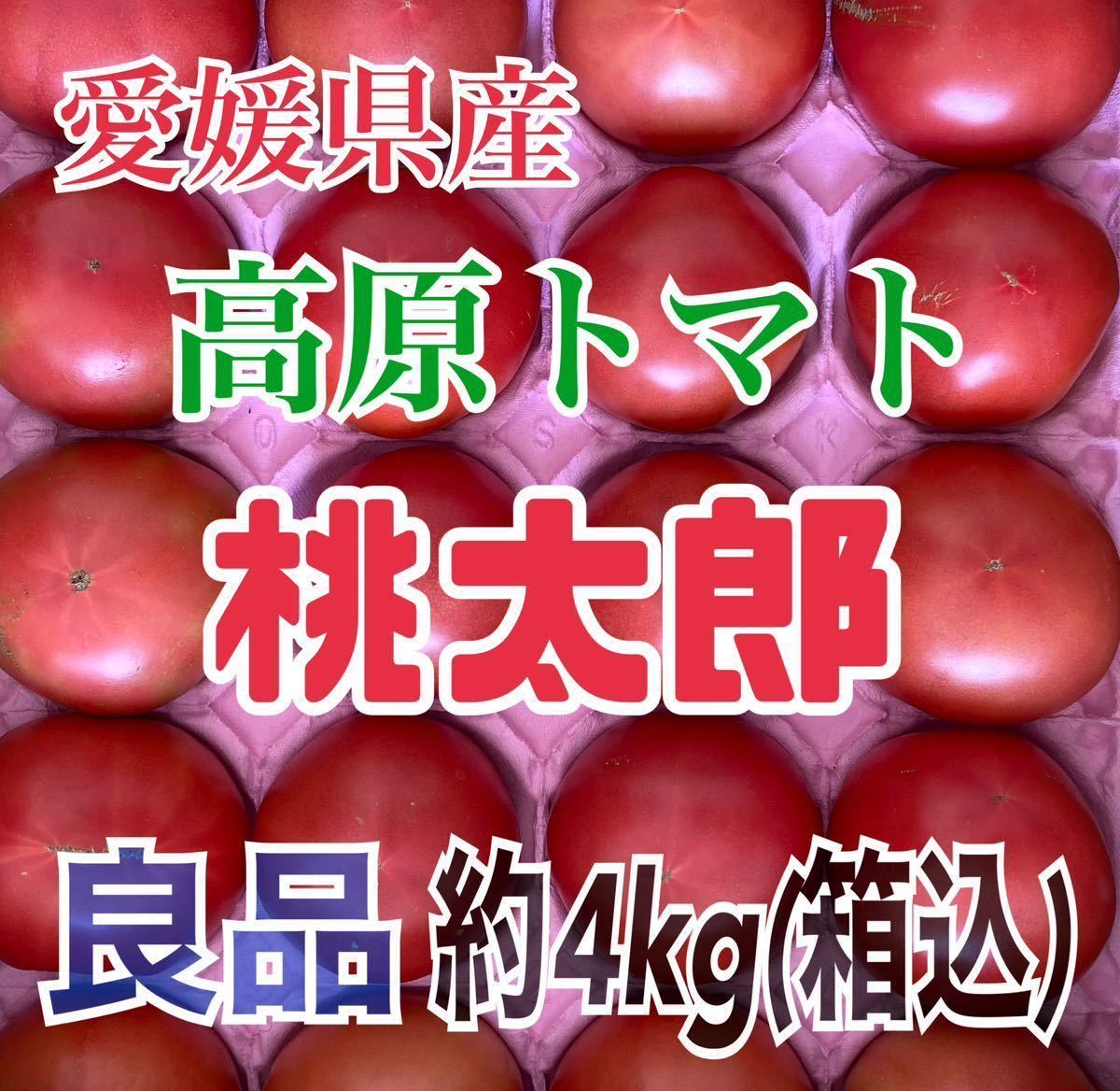 Yahoo!オークション - ③愛媛県産 トマト 桃太郎 S〜3L 良品 約4kg(箱...
