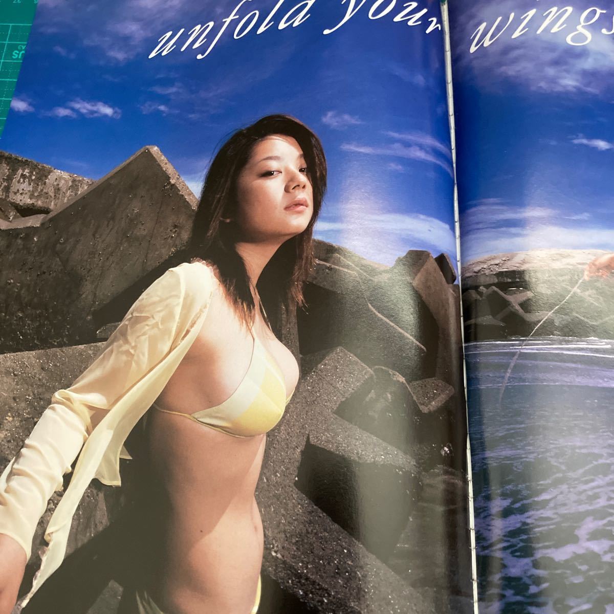 Yahoo!オークション - D8 切り抜き 小池栄子