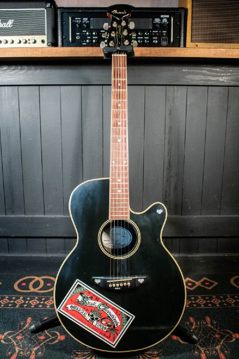 Yahoo!オークション - Morris Tornado TZJ モーリス トルネード アコ...