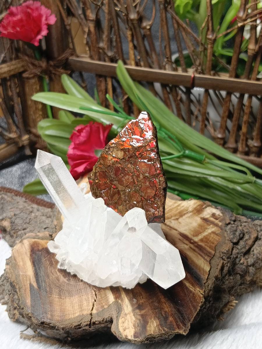 Yahoo!オークション - L-8241カナダ産アンモライト化石 きれいな原石 ...