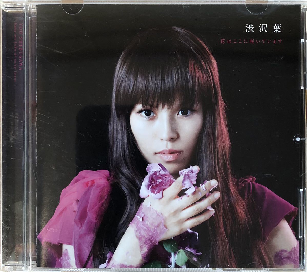 Yahoo!オークション - c467 CD【花はここに咲いています / 渋沢葉】シ...