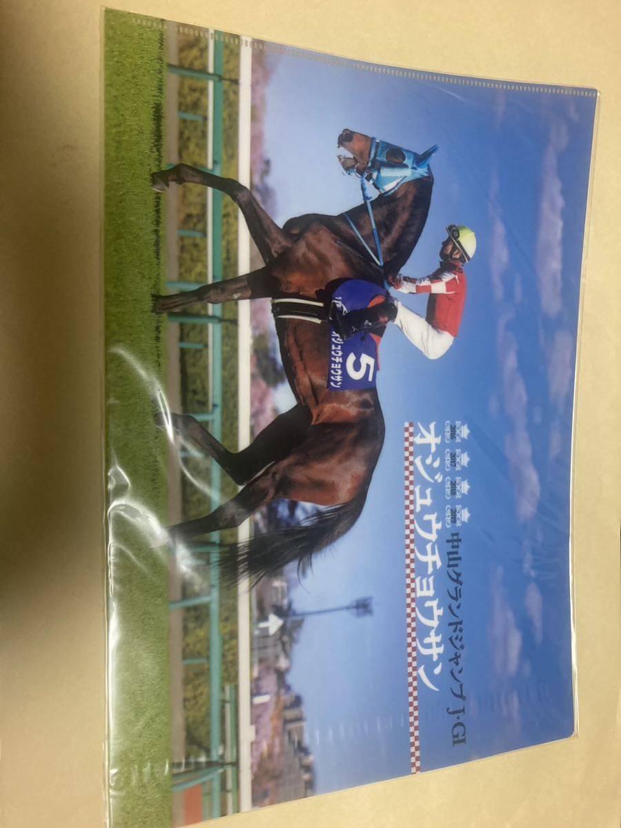 JRA オジュウチョウサン A4クリアファイル 来場ポイントキャンペーン当選品(競馬)｜売買されたオークション情報、yahooの商品情報をアーカイブ公開 - オークファン（aucfan.com）