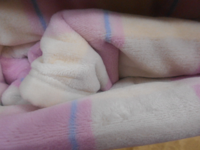 Yahoo!オークション - 36 DAKS綿毛布ピンクチェック 140×20...