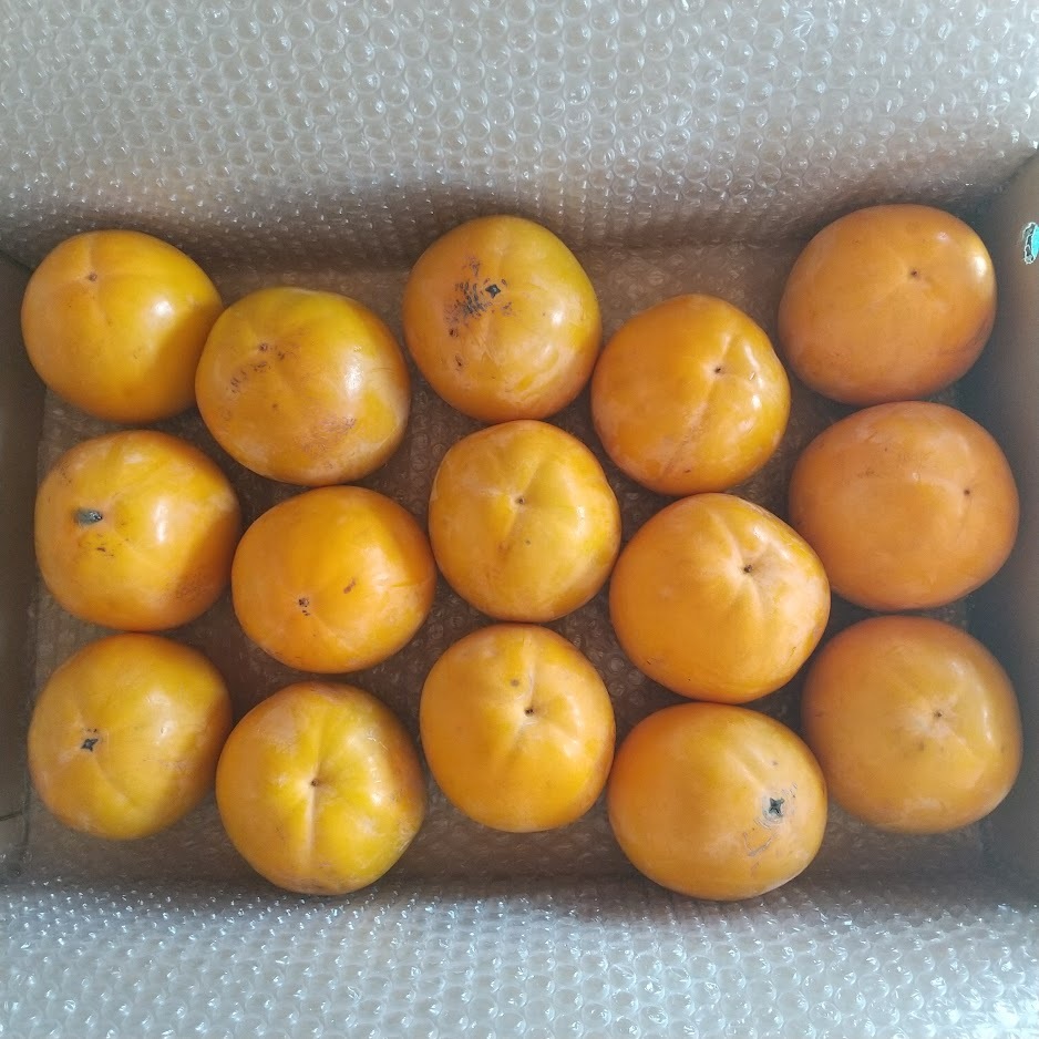 Yahoo!オークション - 【大玉】百目柿 約6kg 15玉入 渋柿 干し柿用 埼...