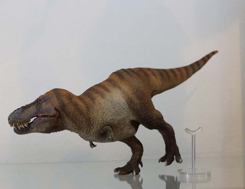 代購代標第一品牌－樂淘letao－PNSO ティラノサウル T-REX 1/35 スケール ( ジュラシック パーク ワールド )