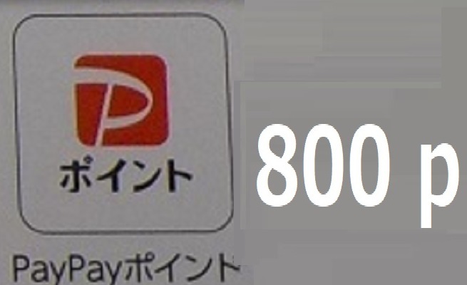 Yahoo!オークション - PayPayポイント 800ポイント