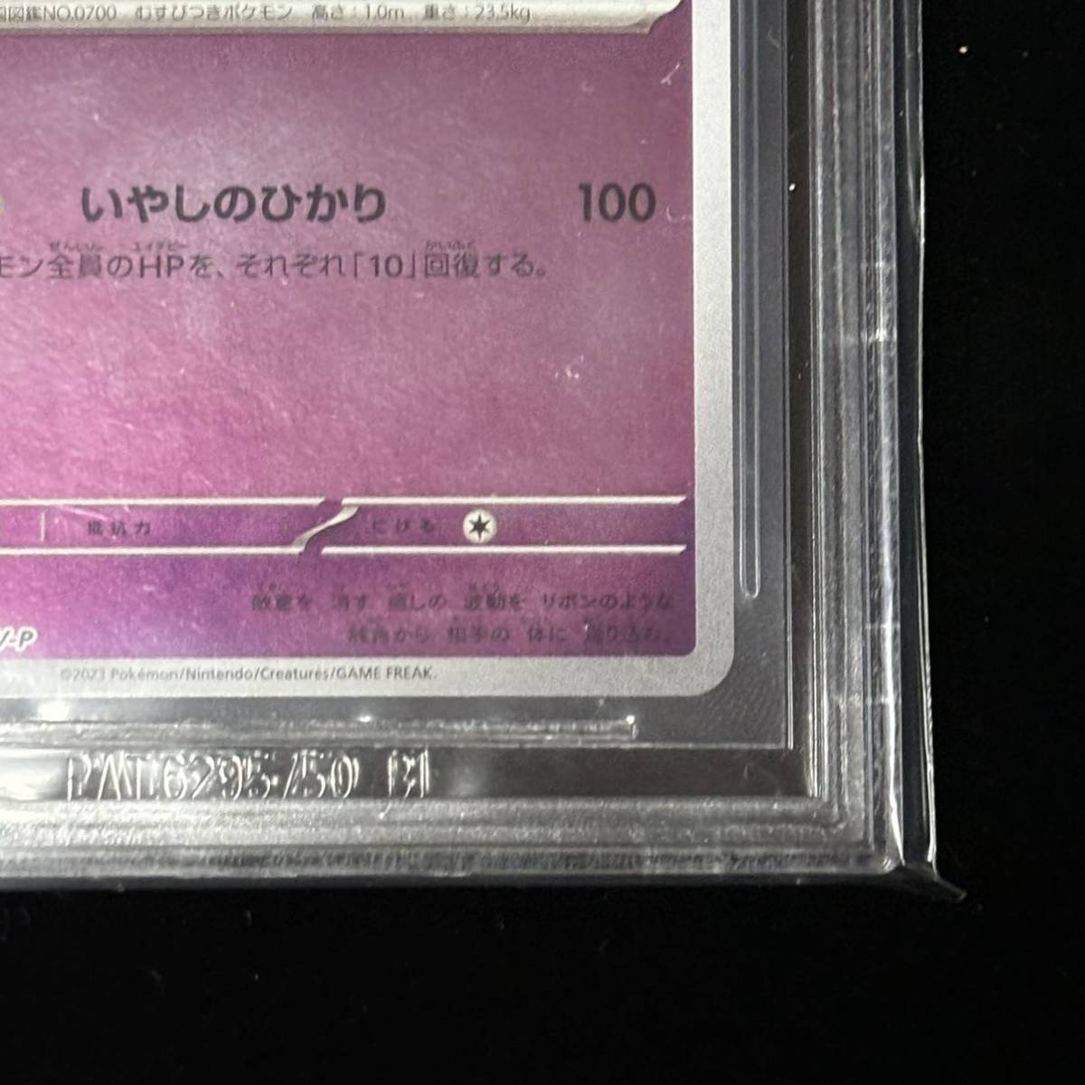 BGS 10 ブラック ラベル ポケモンカード プロモカード BGS 10 ブラック ラベル ポケモンカード プロモカード
