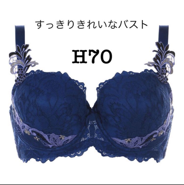 H70 トリンプ TR0066 プレミアム レッドレーベル ブルー(70)｜売買されたオークション情報、yahooの商品情報をアーカイブ公開 - オークファン（aucfan.com）