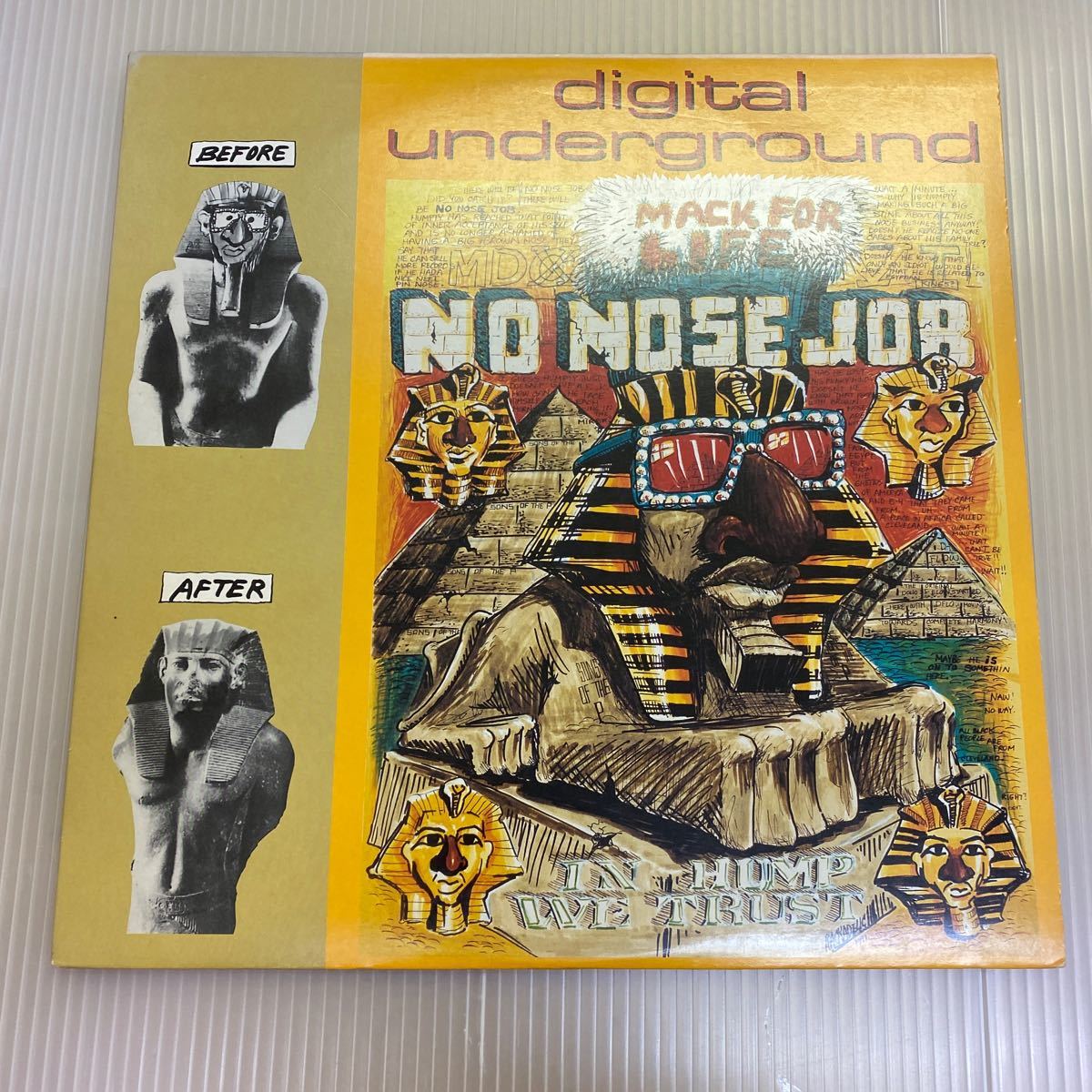 同梱可 デジタルアンダーグラウンド Digital Underground No Nose Job 12インチ TB-513(ラップ、ヒップホップ)｜売買されたオークション情報、yahooの ...