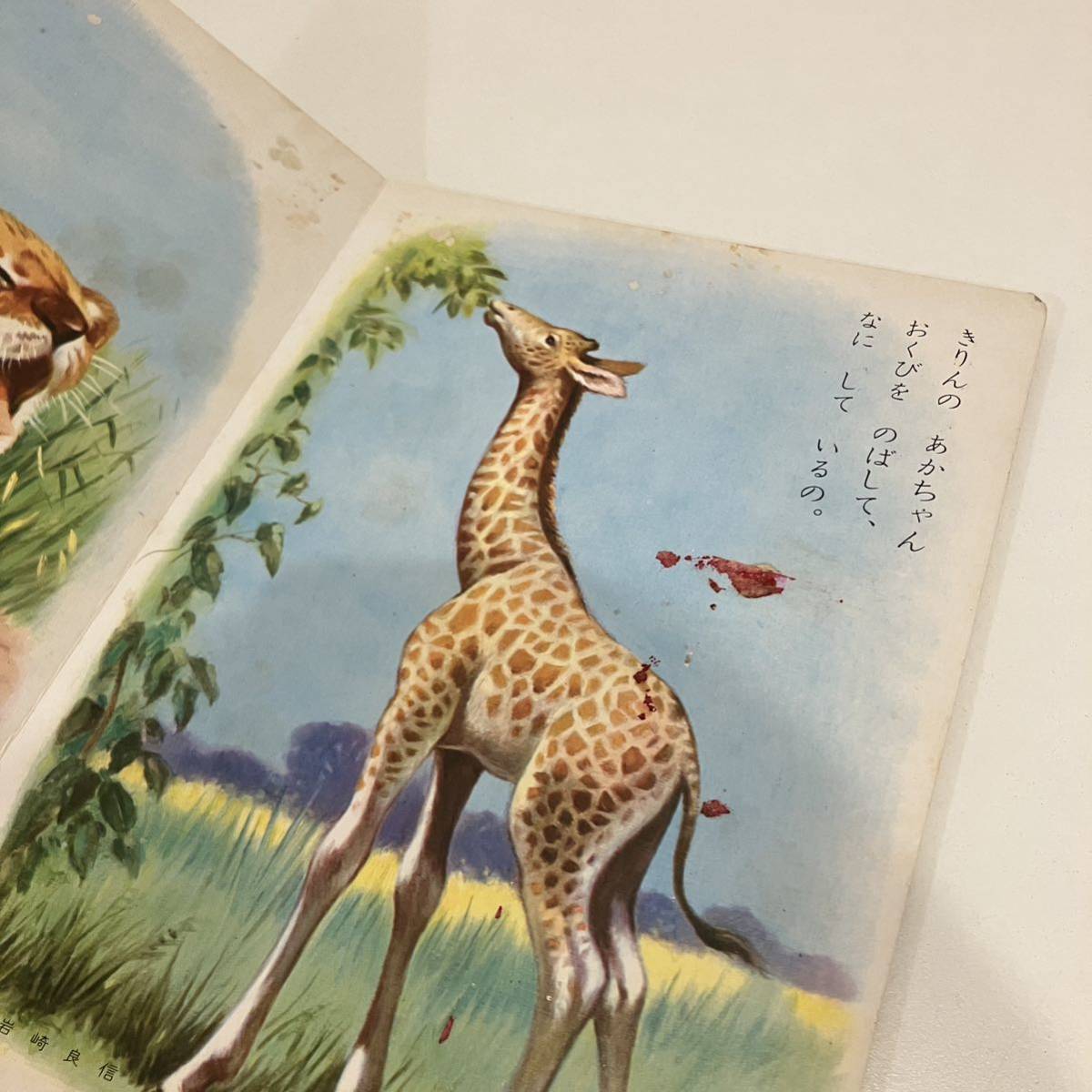 Yahoo!オークション - 231228小学館の育児絵本「どうぶつのあかちゃん...