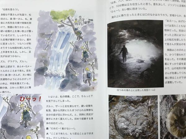 Yahoo!オークション - P83 北海道のアンモナイト セノマニアン編 非売...