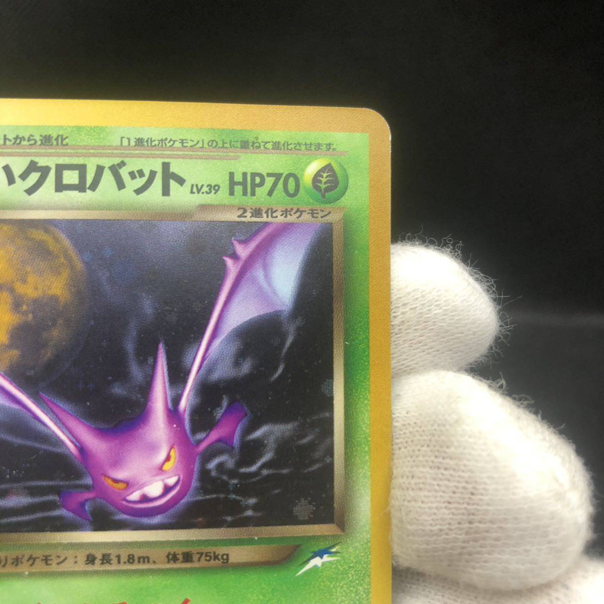 ポケモンカード 旧裏 旧裏面 キラ わるいクロバット|Yahoo ポケモンカード 旧裏 旧裏面 キラ わるいクロバット|Yahoo