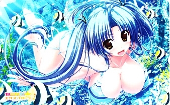 Yahoo!オークション - 2-g8 カミカゼ エクスフローラ テレカ