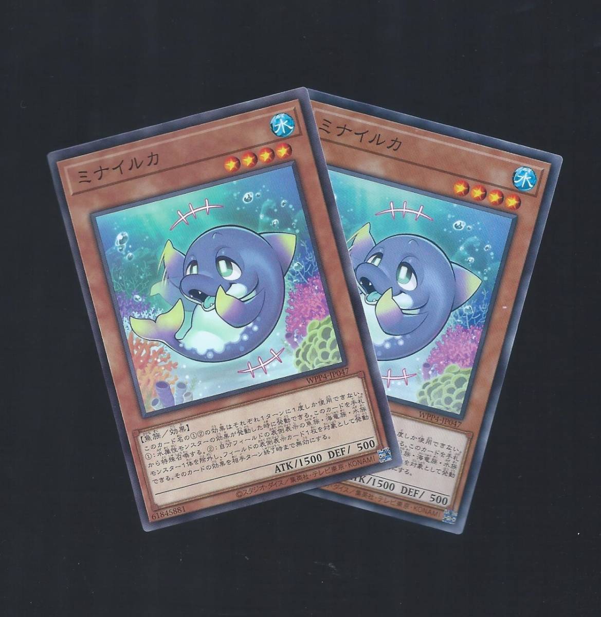 Yahoo!オークション - WPP4-JP047 【 ミナイルカ 】 2枚set