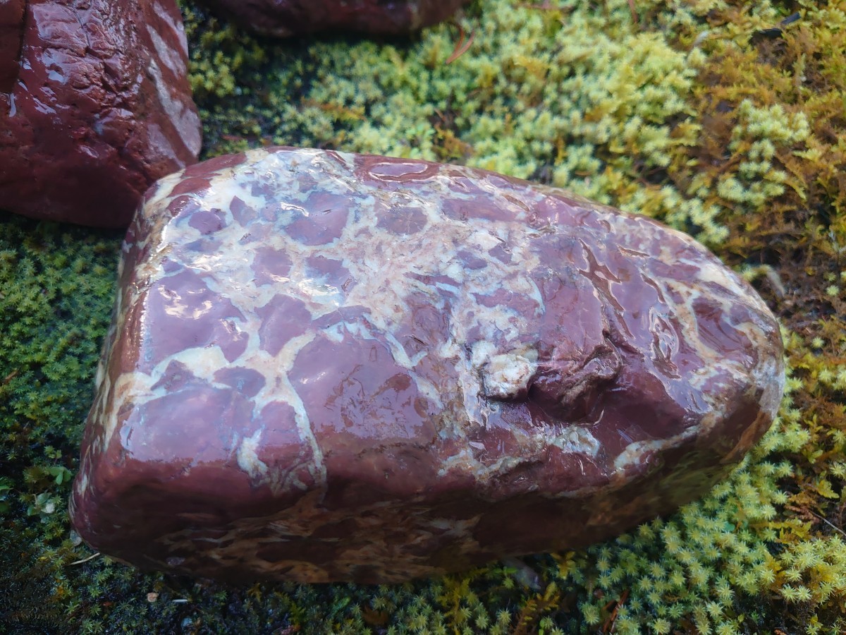 Yahoo!オークション - 京都 赤石 紅加茂石 5石 15 6kg 庭石 観賞石 盆...