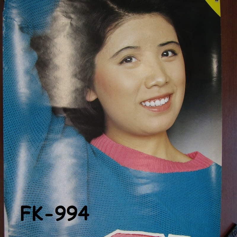 FK-994 コレクター放出品 当時ポスター 森昌子 サイズB2 20240109(ま行)｜売買されたオークション情報、yahooの商品情報をアーカイブ公開 - オークファン（aucfan.com）