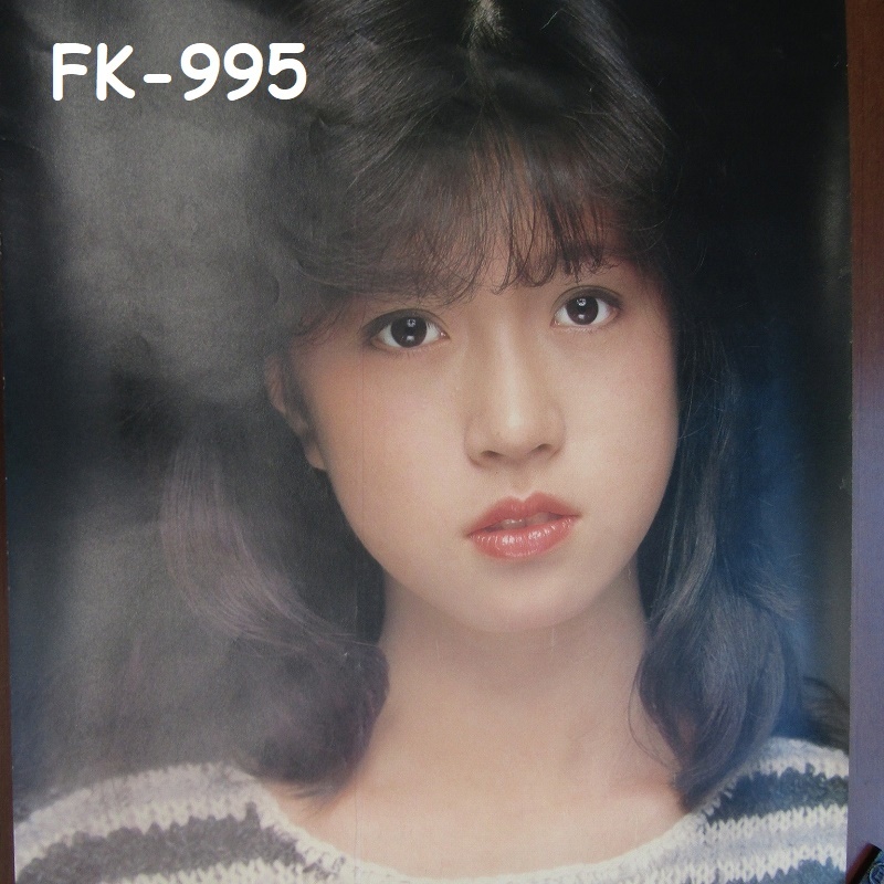 Yahoo!オークション - FK-995 コレクター放出品 当時ポスター 中森明菜...